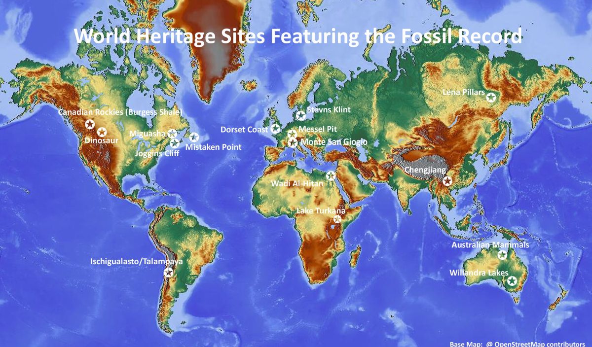 THE FOSSIL RECORD | Natural World Heritage Sites
