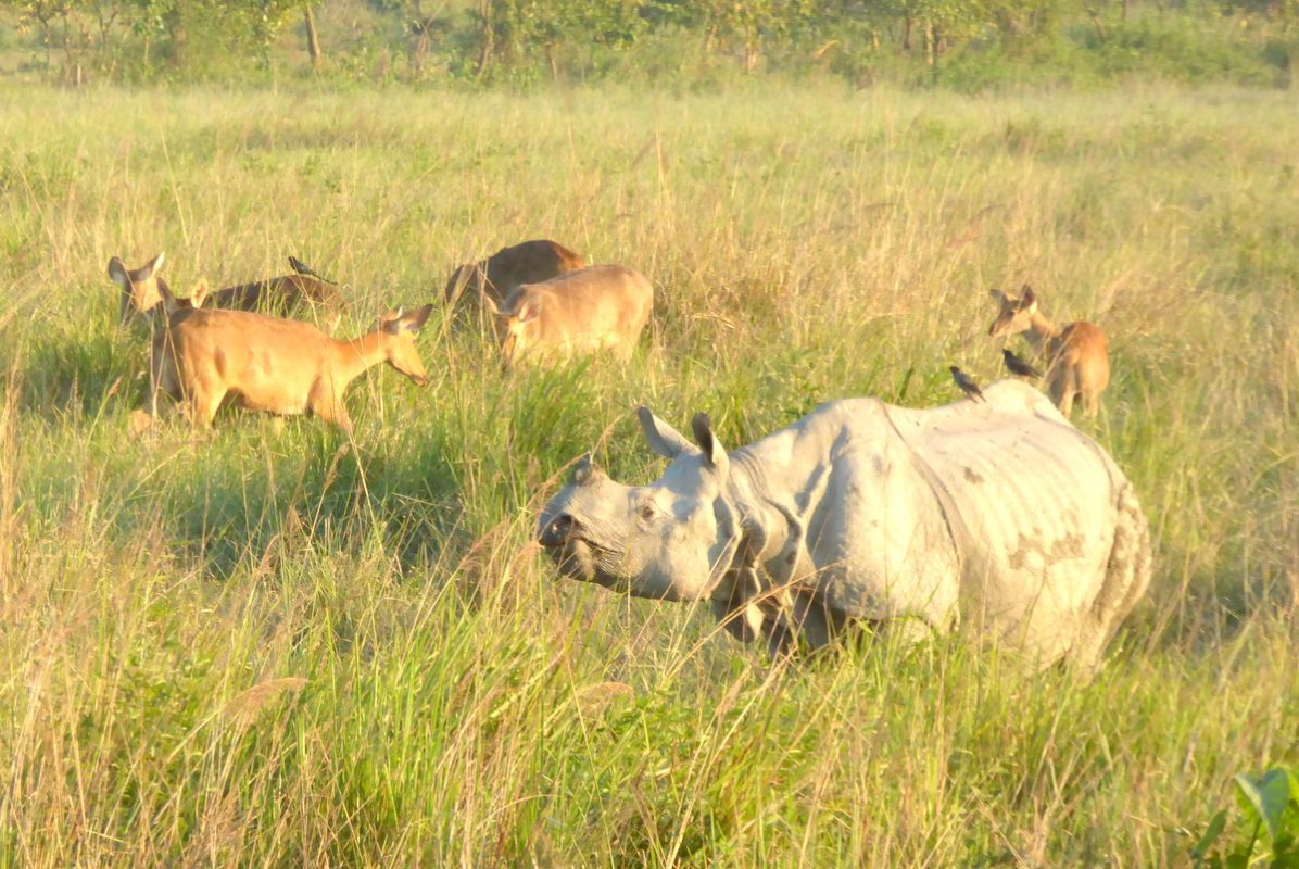 CAVES & KARST | Natural World Heritage Sites