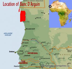 Banc d'Arguin National Park | Natural World Heritage Sites