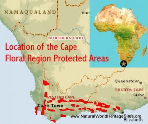 Cape Floral Region Protected Areas | Natural World Heritage Sites