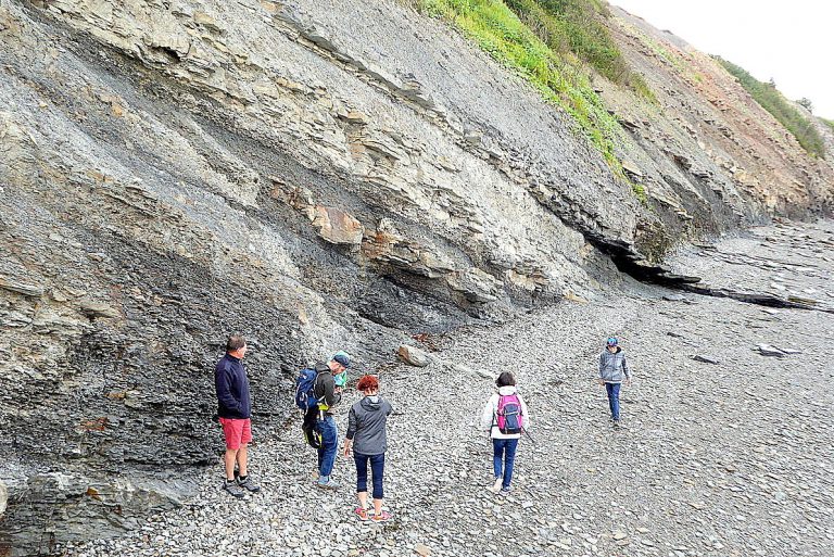 Miguasha National Park | Natural World Heritage Sites