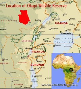 Okapi Wildlife Reserve | Natural World Heritage Sites