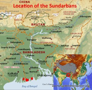 Sundarbans National Park | Natural World Heritage Sites