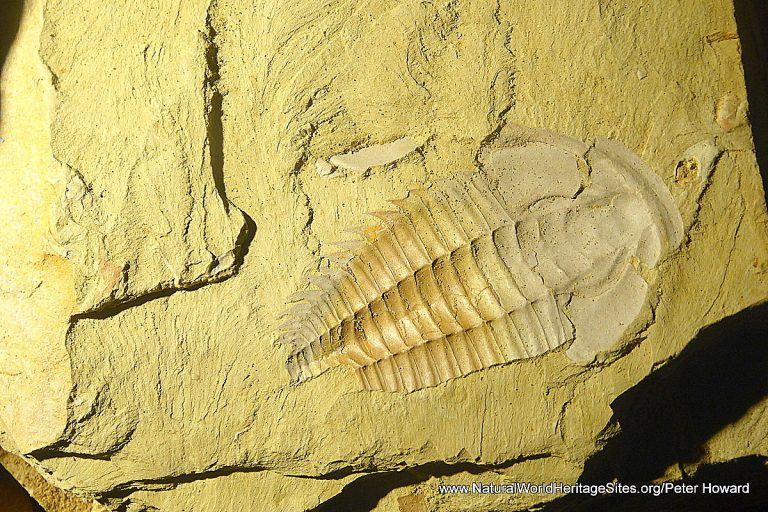 Dorset and East Devon (Jurassic) Coast | Natural World Heritage Sites