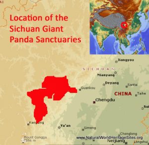 Sichuan Giant Panda Sanctuaries | Natural World Heritage Sites