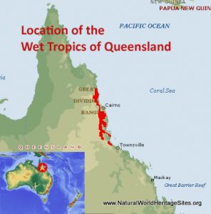 Wet Tropics of Queensland | Natural World Heritage Sites