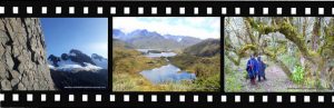 Sangay National Park | Natural World Heritage Sites