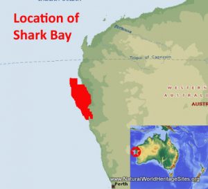Shark Bay, Western Australia | Natural World Heritage Sites