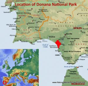 Donana National Park | Natural World Heritage Sites