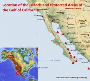 Islands and Protected Areas of the Gulf of California | Natural World ...