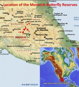 Monarch Butterfly Biosphere Reserve | Natural World Heritage Sites