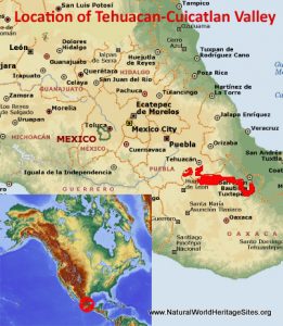 Tehuacan-Cuicatlan Valley: Originary Habitat of Mesoamerica | Natural ...