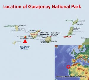 Garajonay National Park | Natural World Heritage Sites