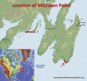 Mistaken Point | Natural World Heritage Sites