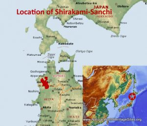Shirakami-Sanchi | Natural World Heritage Sites