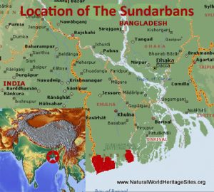 The Sundarbans | Natural World Heritage Sites