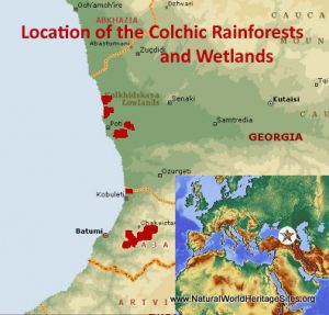 Colchic Rainforests and Westlands | Natural World Heritage Sites