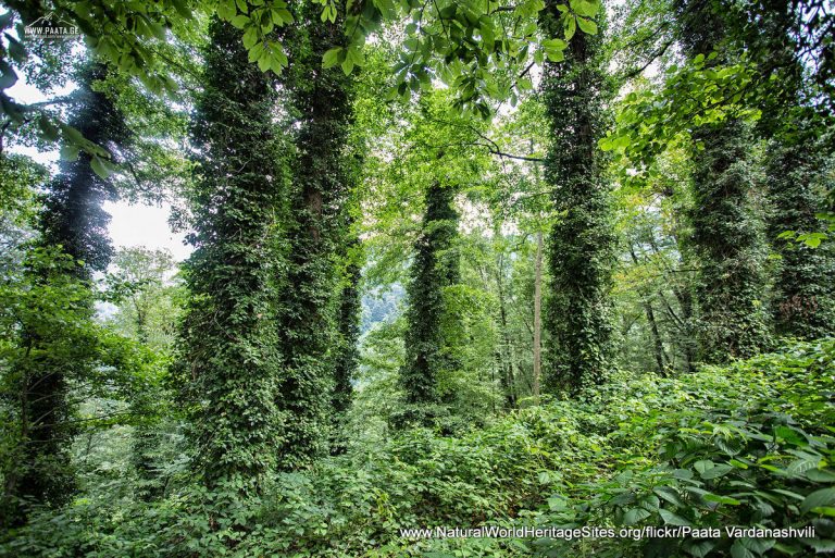 Lut Desert | Natural World Heritage Sites