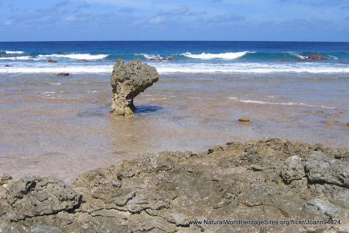 Phoenix Islands Protected Area | Natural World Heritage Sites