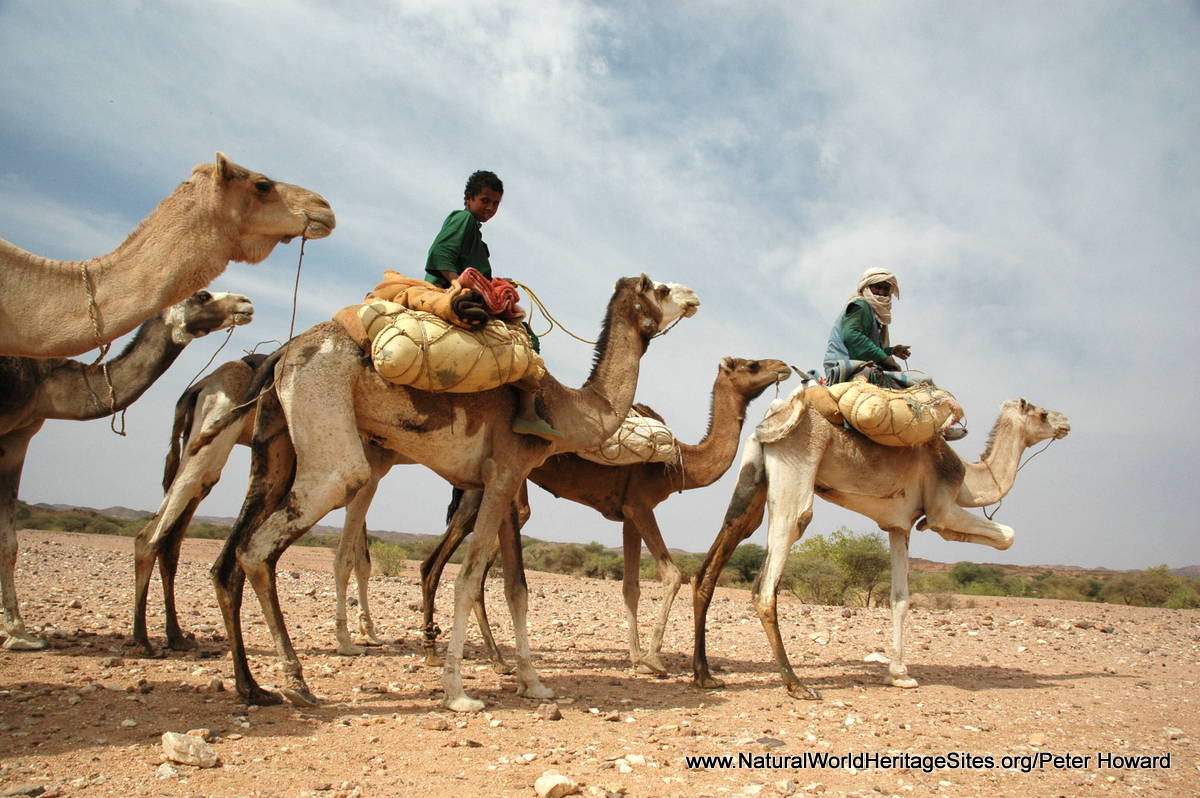 Air and Ténéré Natural Reserves | Natural World Heritage Sites