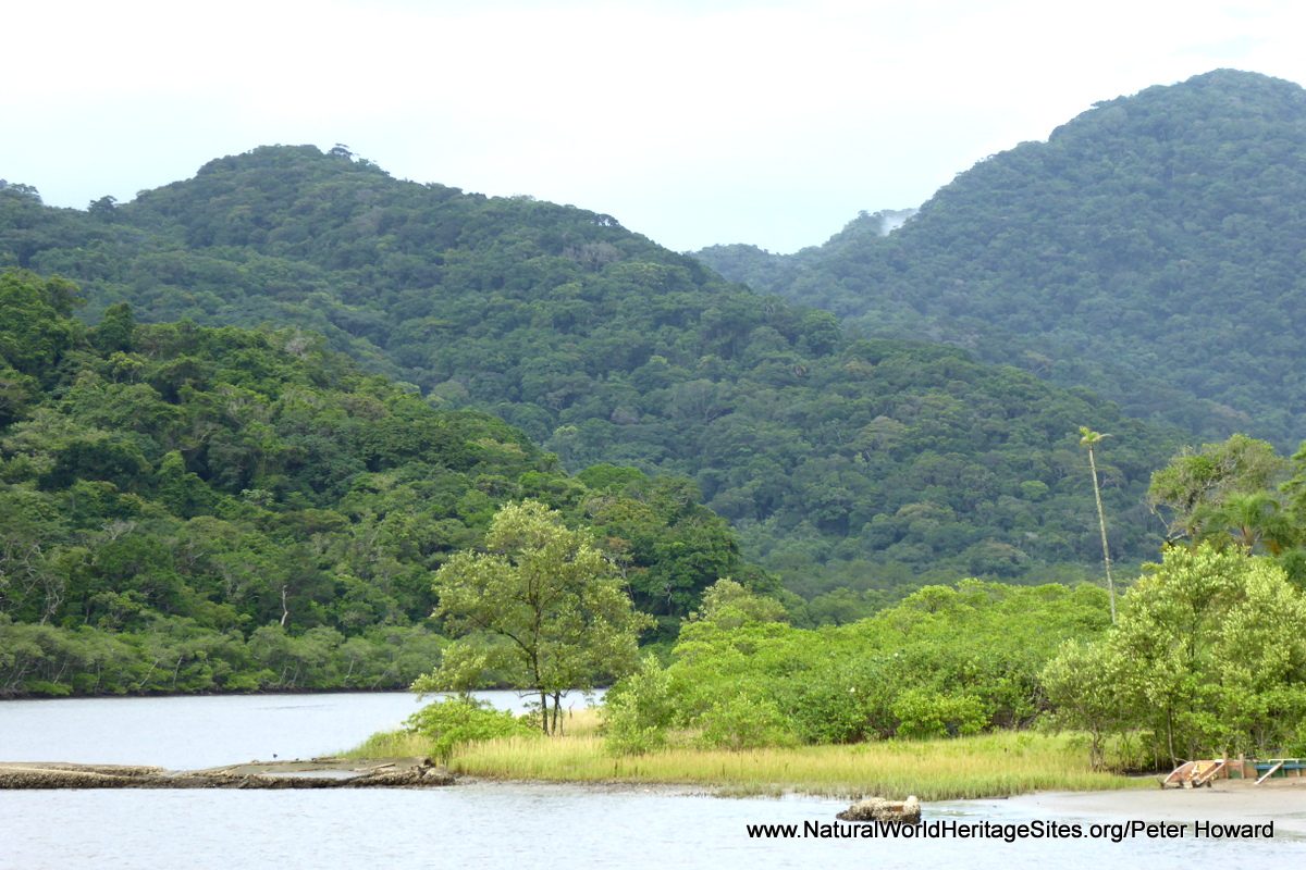 Atlantic Forest South-East Reserves - Natural World Heritage Sites