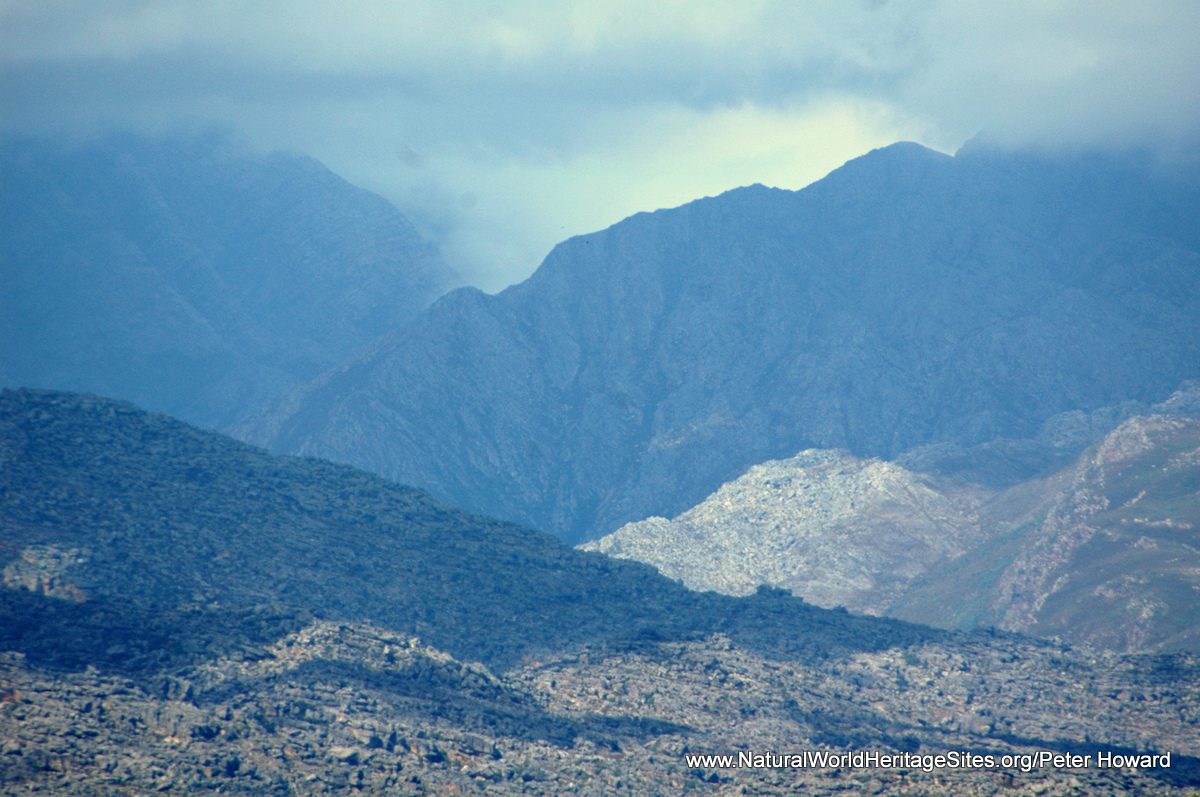 Cape Floral Region Protected Areas