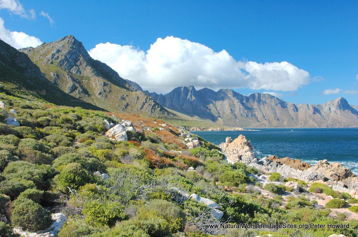 Cape Floral Region Protected Areas