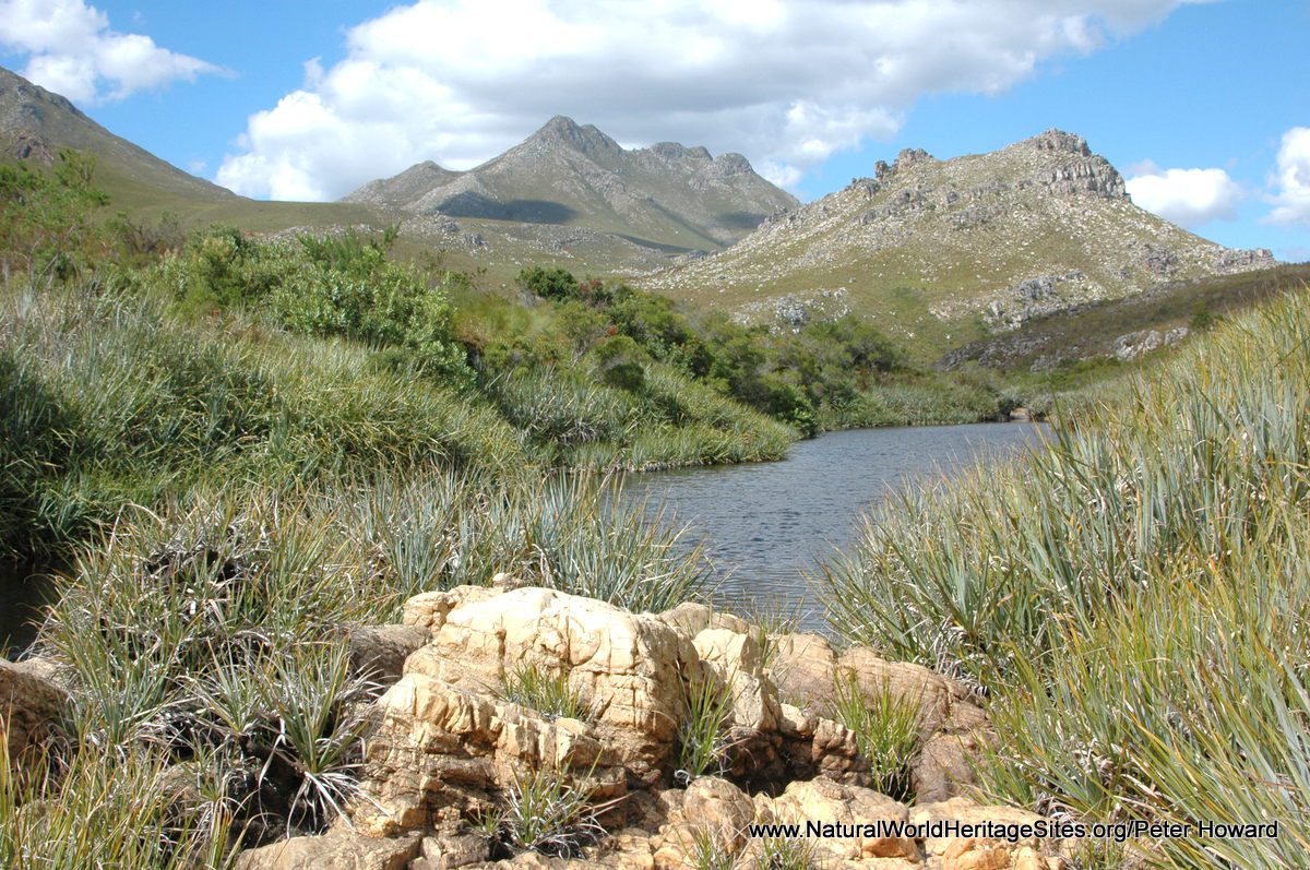 Cape Floral Region Protected Areas