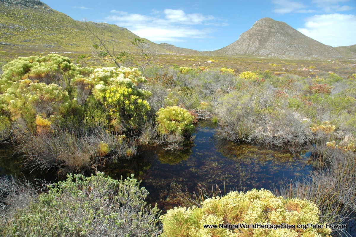 Cape Floral Region Protected Areas