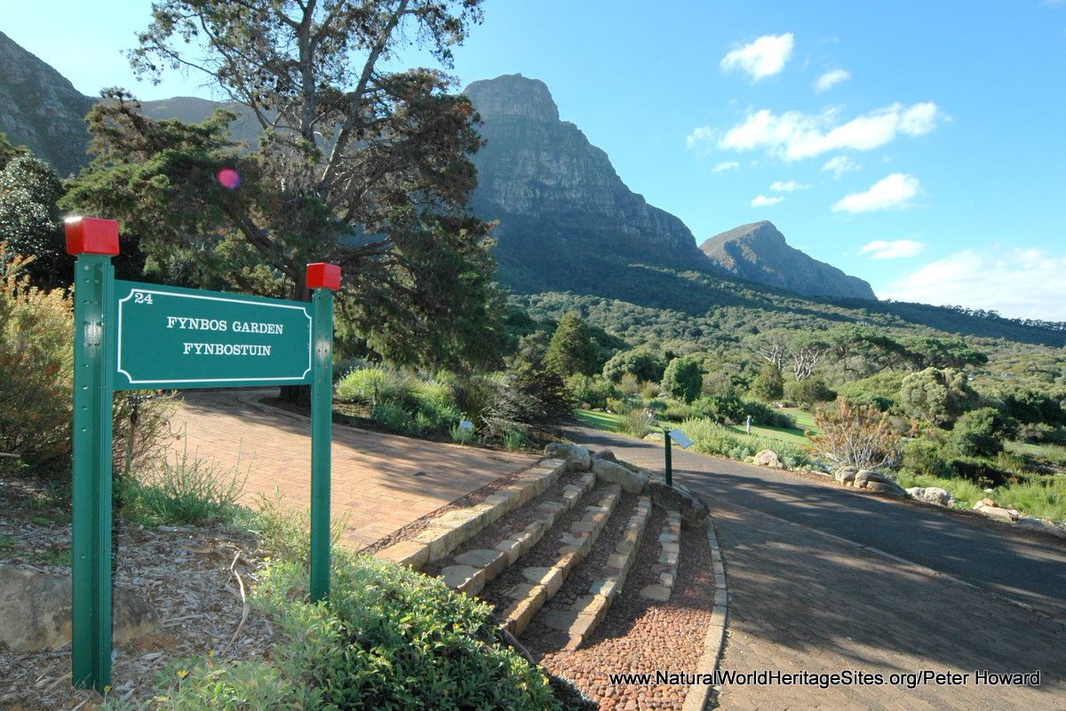 Cape Floral Region Protected Areas