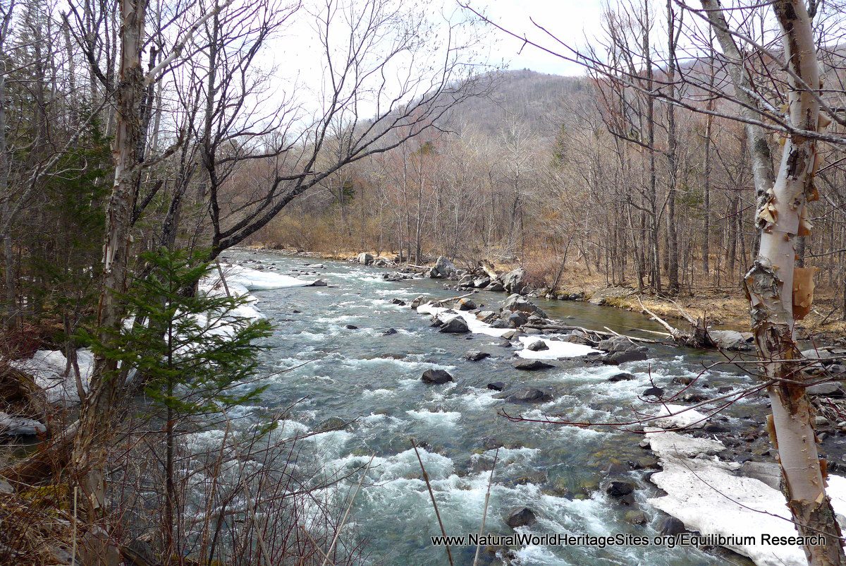 Sikhote Alin Mountains
