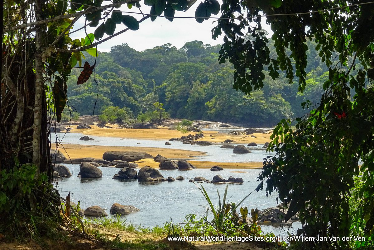 Central Suriname Nature Reserve Voltzberg Granite Dome Mountain,