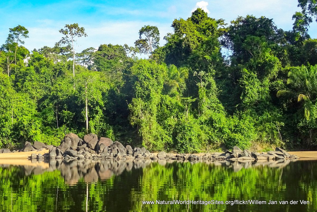 Central Suriname Nature Reserve Voltzberg Granite Dome Mountain,
