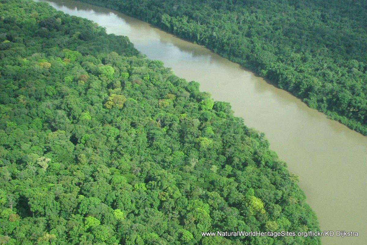 Central Suriname Nature Reserve Voltzberg Granite Dome Mountain,