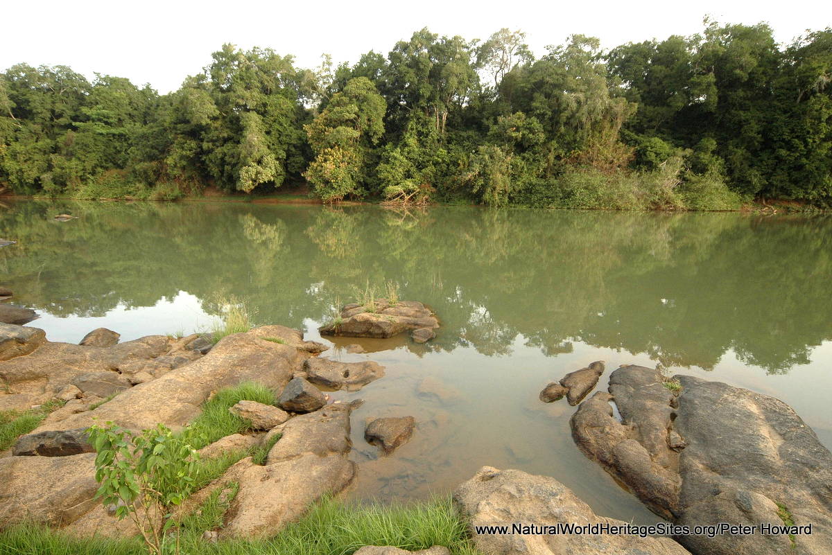 Comoe-National-Park-25.2.jpg