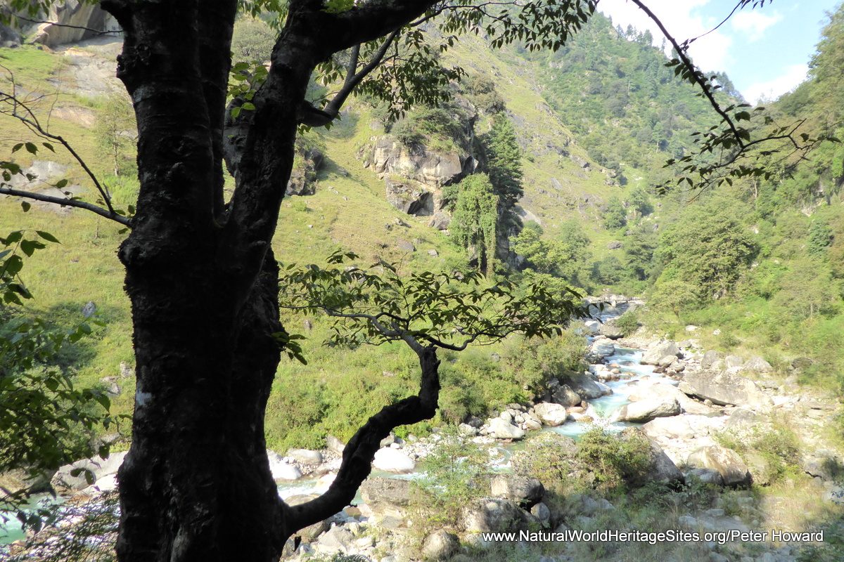 Great Himalayan National Park Conservation Area - Natural World ...