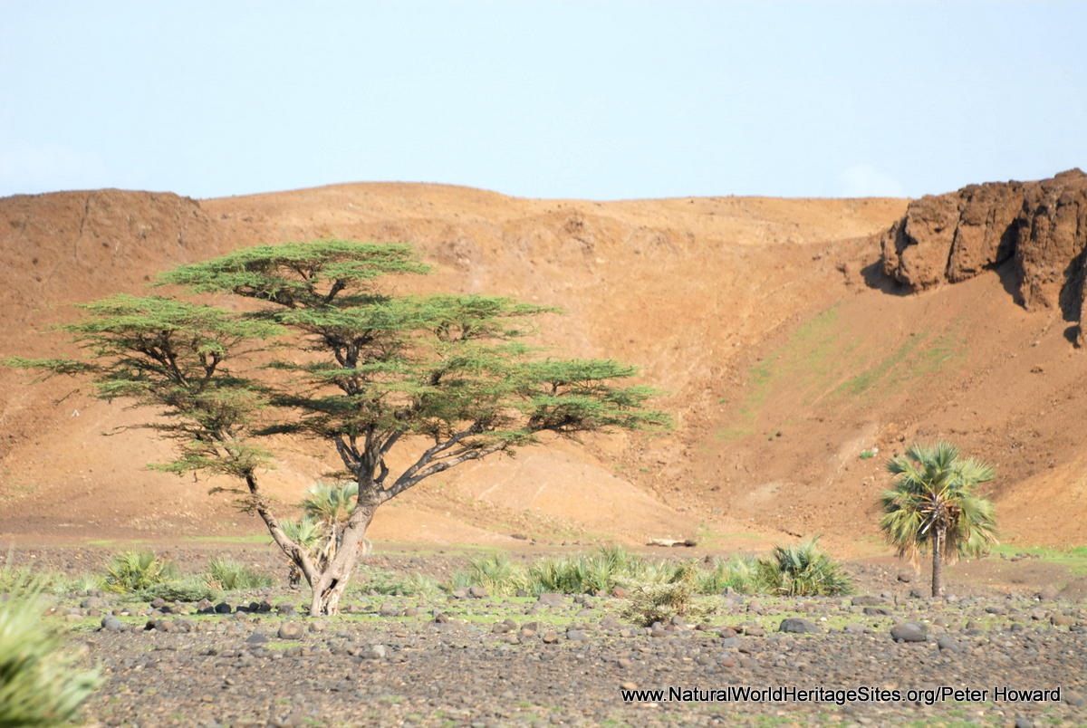 Lake Turkana National Parks | Natural World Heritage Sites