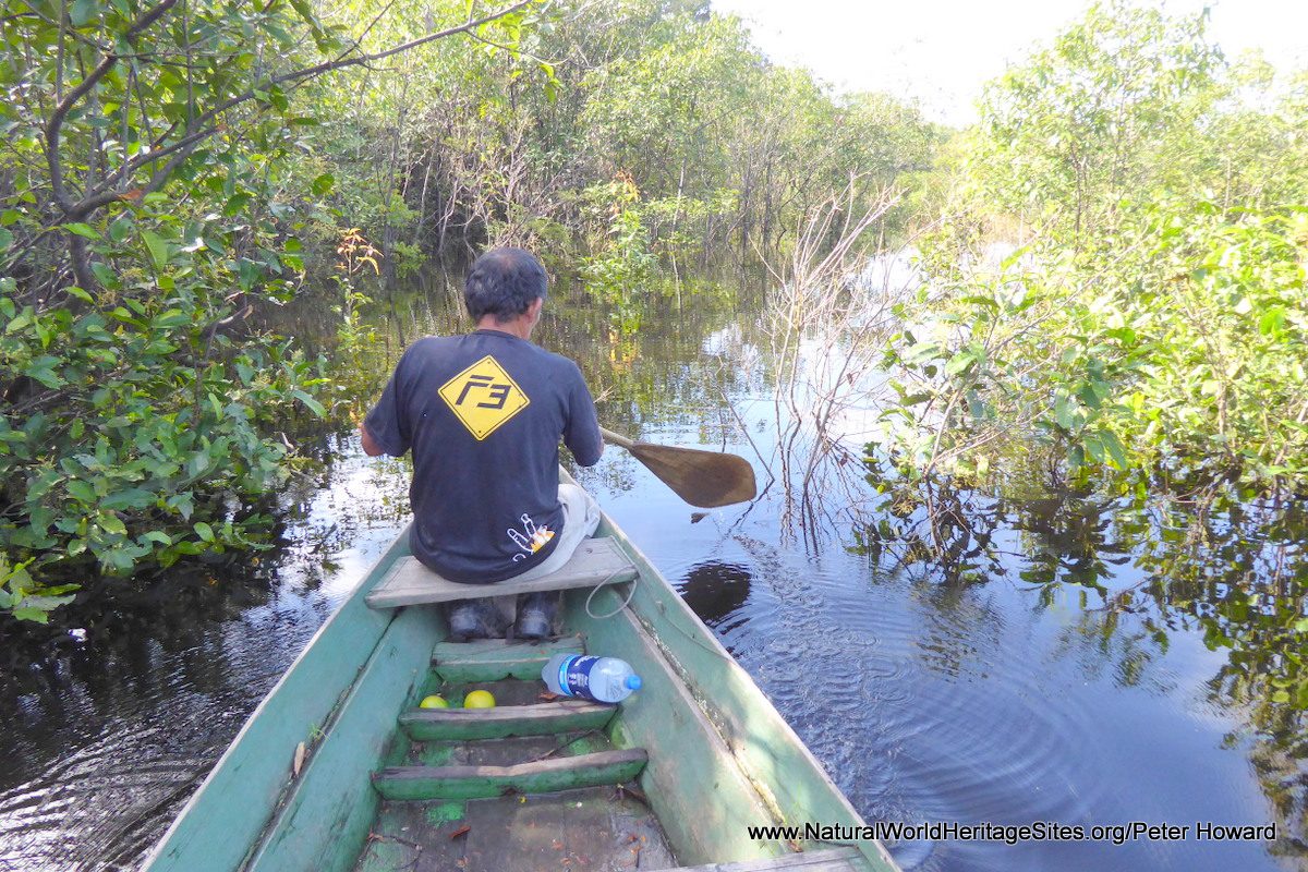 Central Amazon Conservation Complex | Natural World Heritage Sites