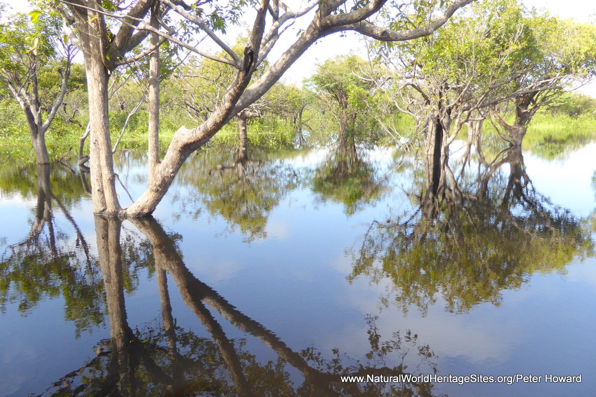 Central Amazon Conservation Complex | Natural World Heritage Sites