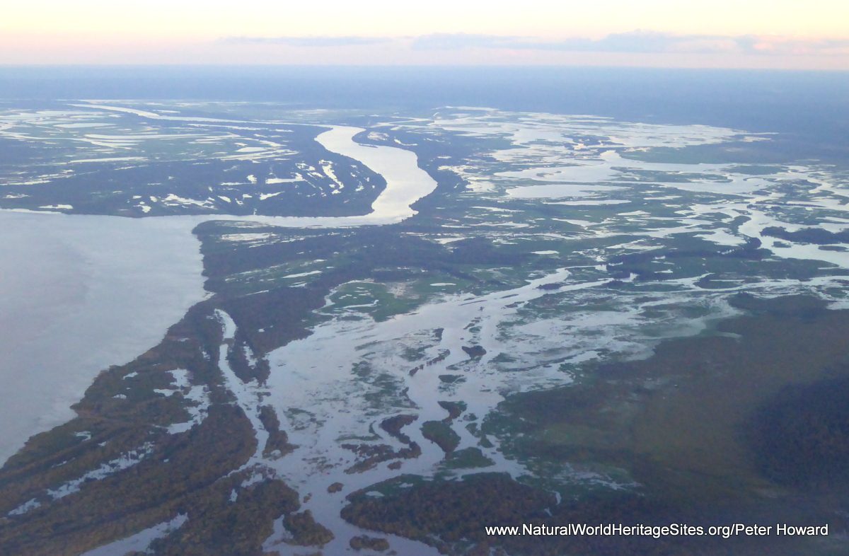 Central Amazon Conservation Complex | Natural World Heritage Sites