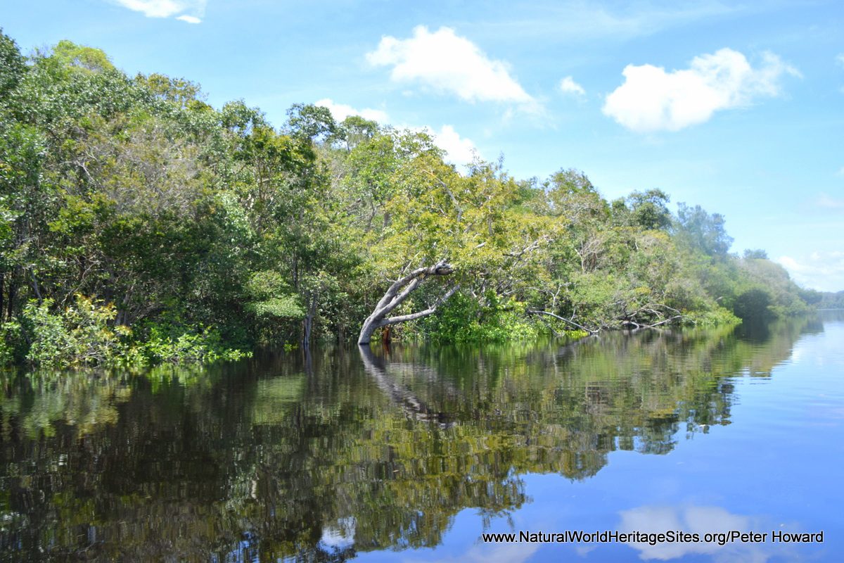 Central Amazon Conservation Complex | Natural World Heritage Sites