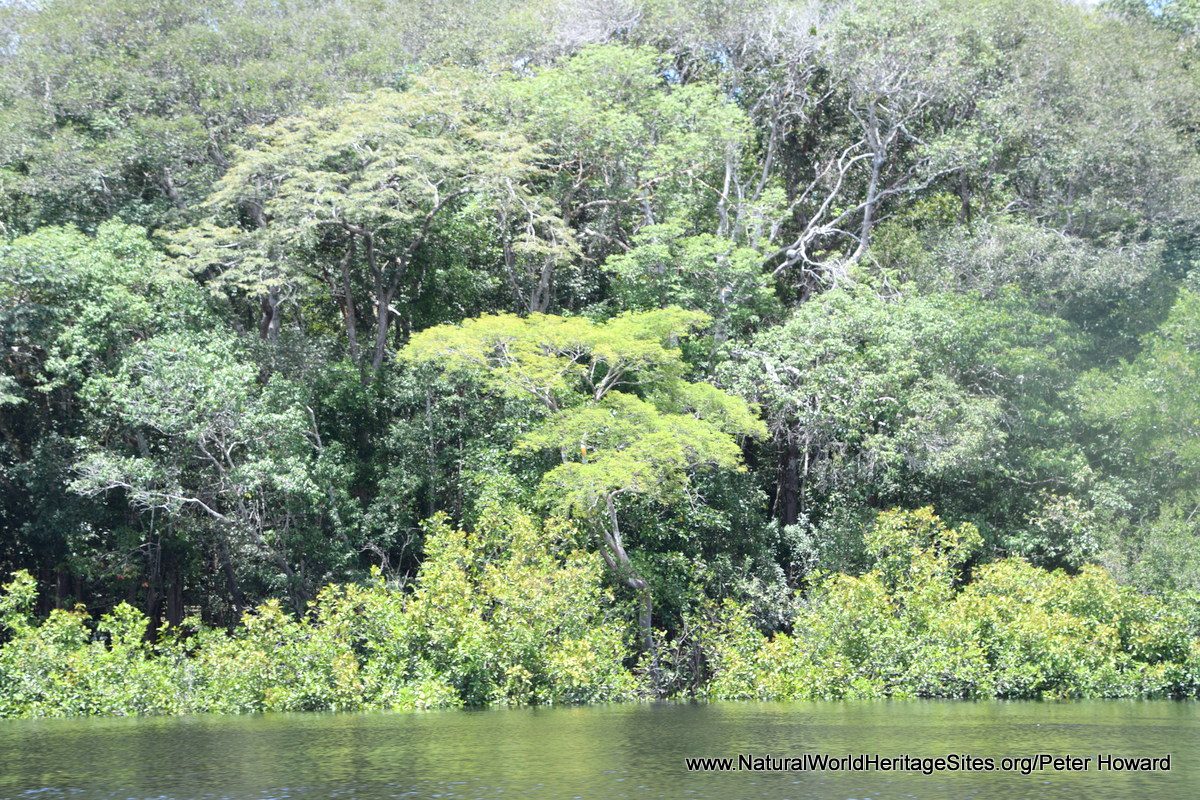 Central Amazon Conservation Complex | Natural World Heritage Sites