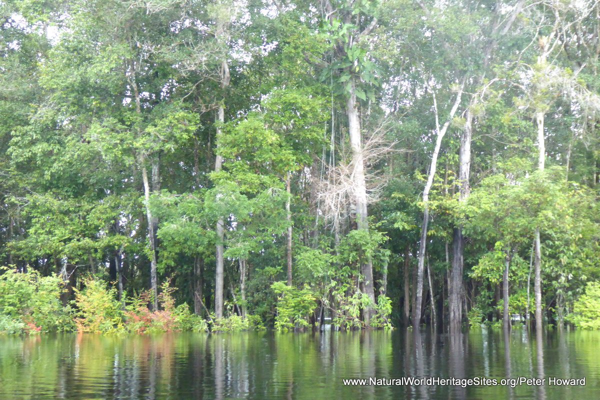 Central Amazon Conservation Complex | Natural World Heritage Sites
