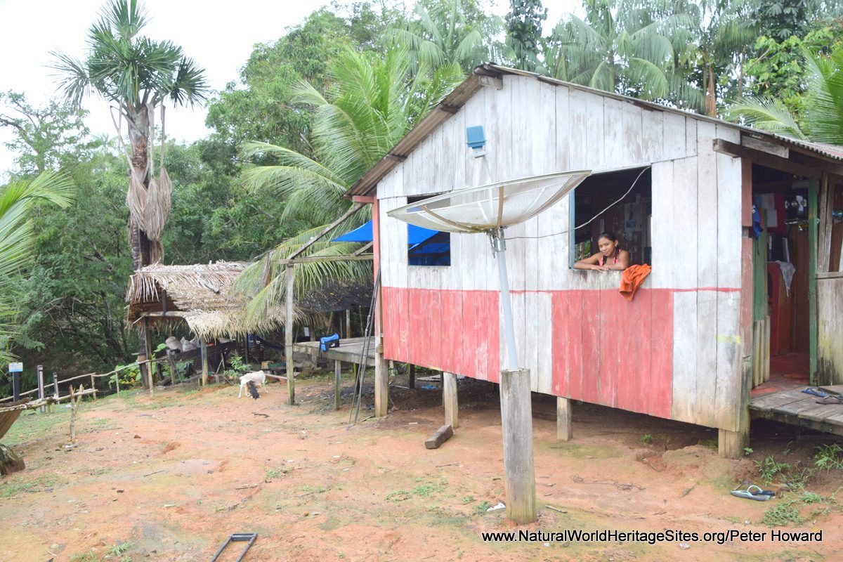 Central Amazon Conservation Complex | Natural World Heritage Sites