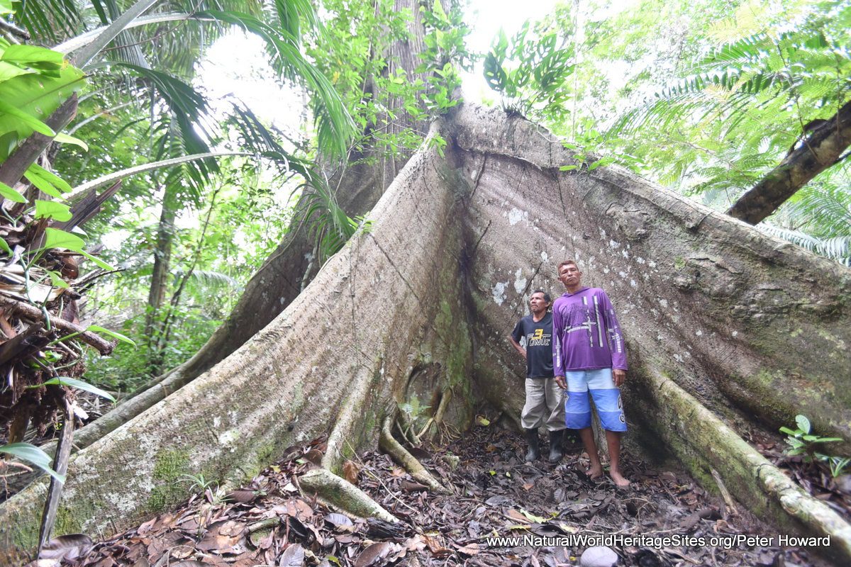 Central Amazon Conservation Complex | Natural World Heritage Sites