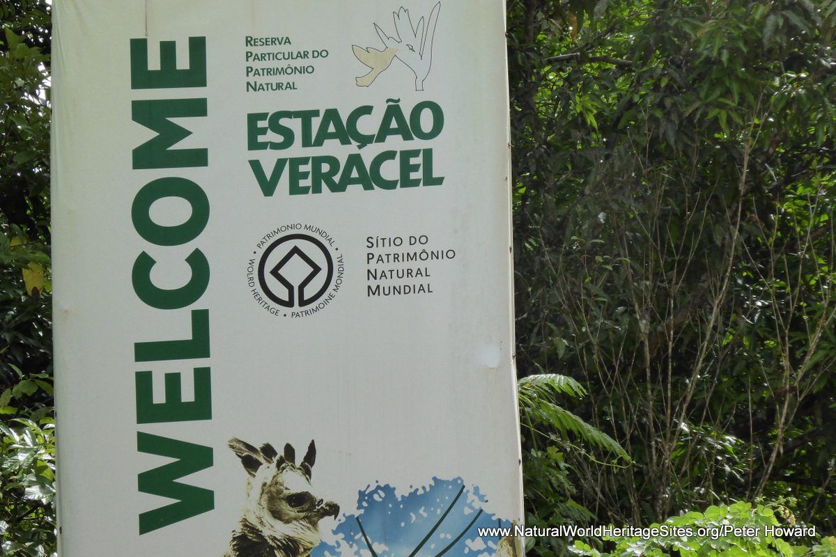 Discovery Coast Atlantic Forest Reserves | Natural World Heritage Sites