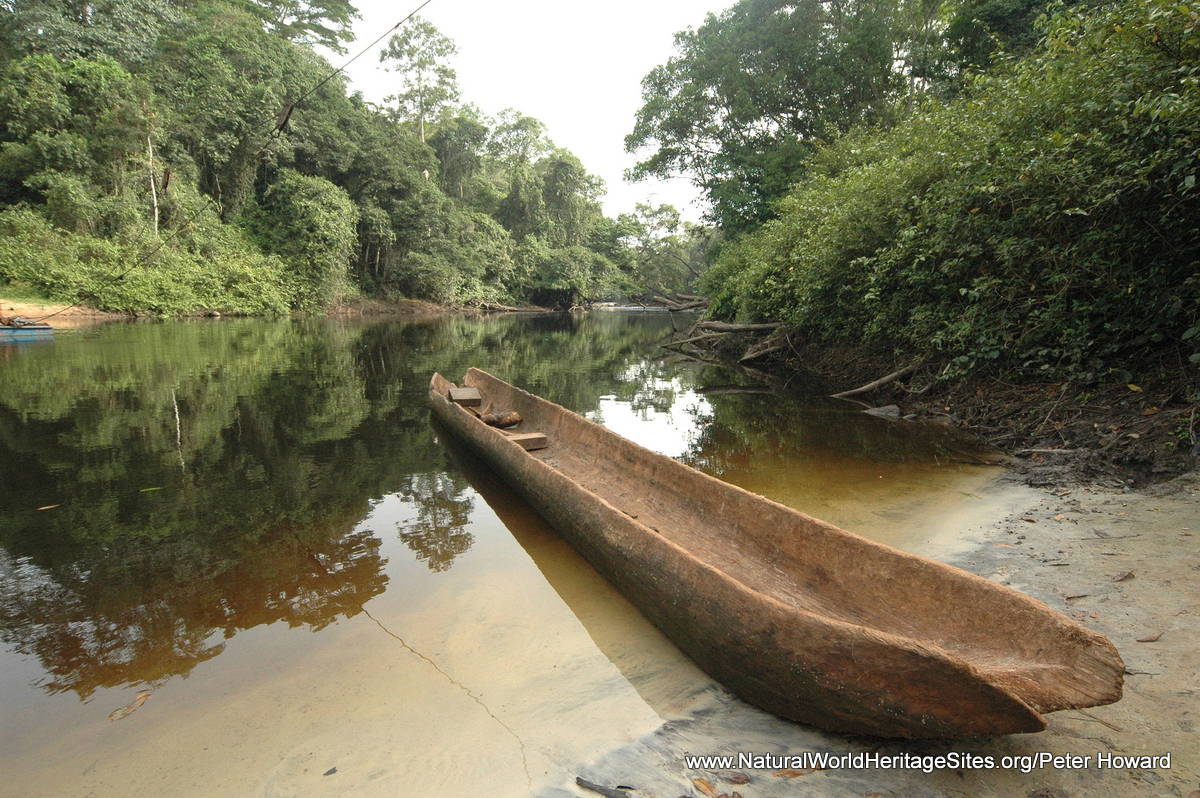 Dja Faunal Reserve - Natural World Heritage Sites
