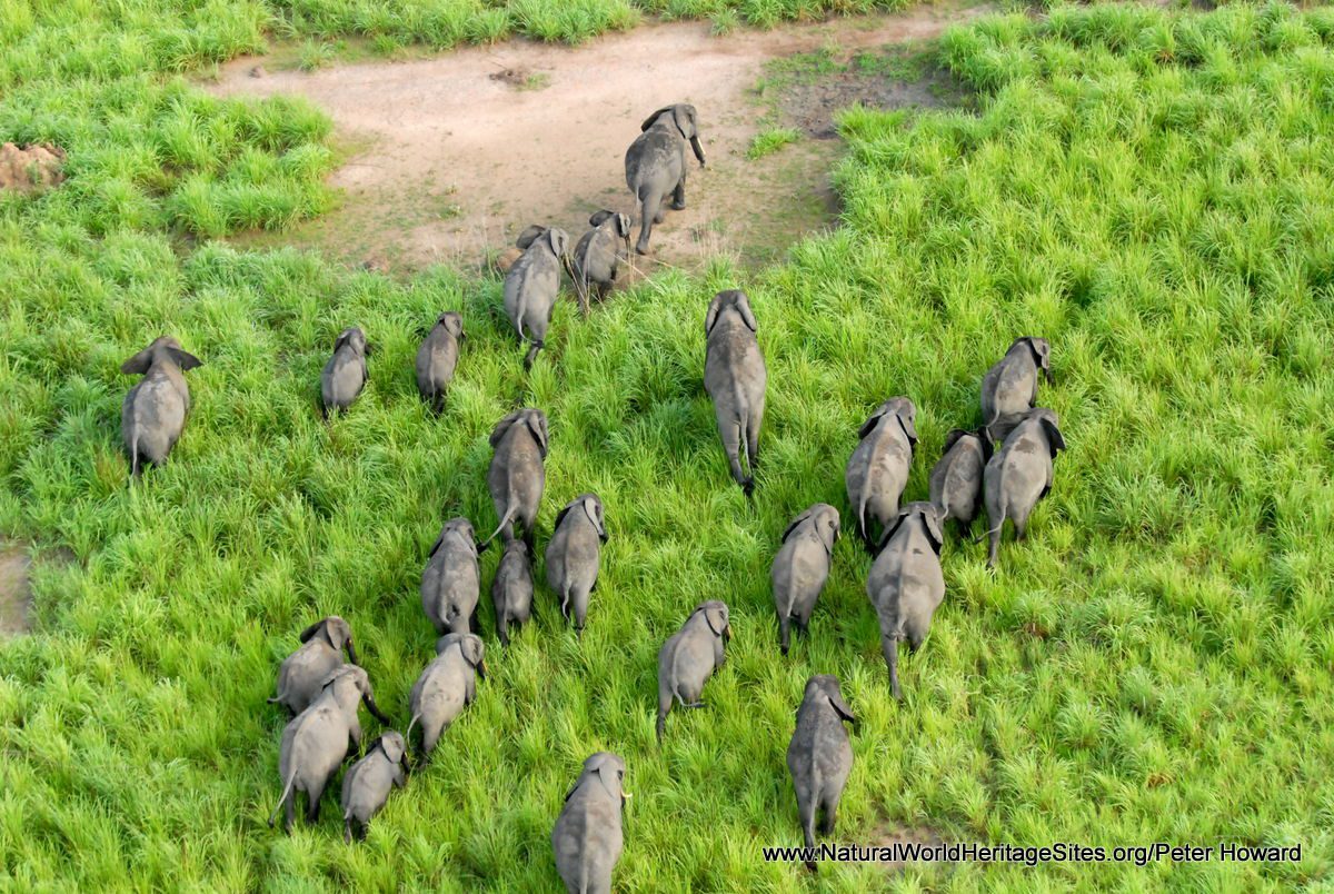 Garamba National Park - Natural World Heritage Sites