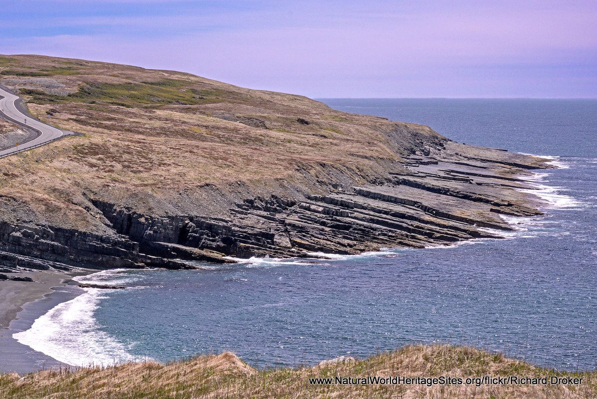 Mistaken Point | Natural World Heritage Sites