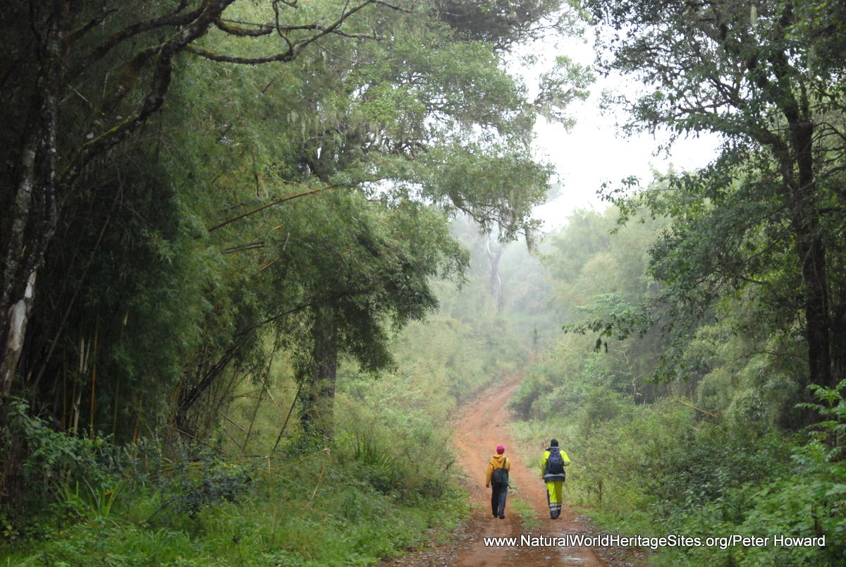 Mount Kenya National Park/Natural Forest - Natural World Heritage Sites